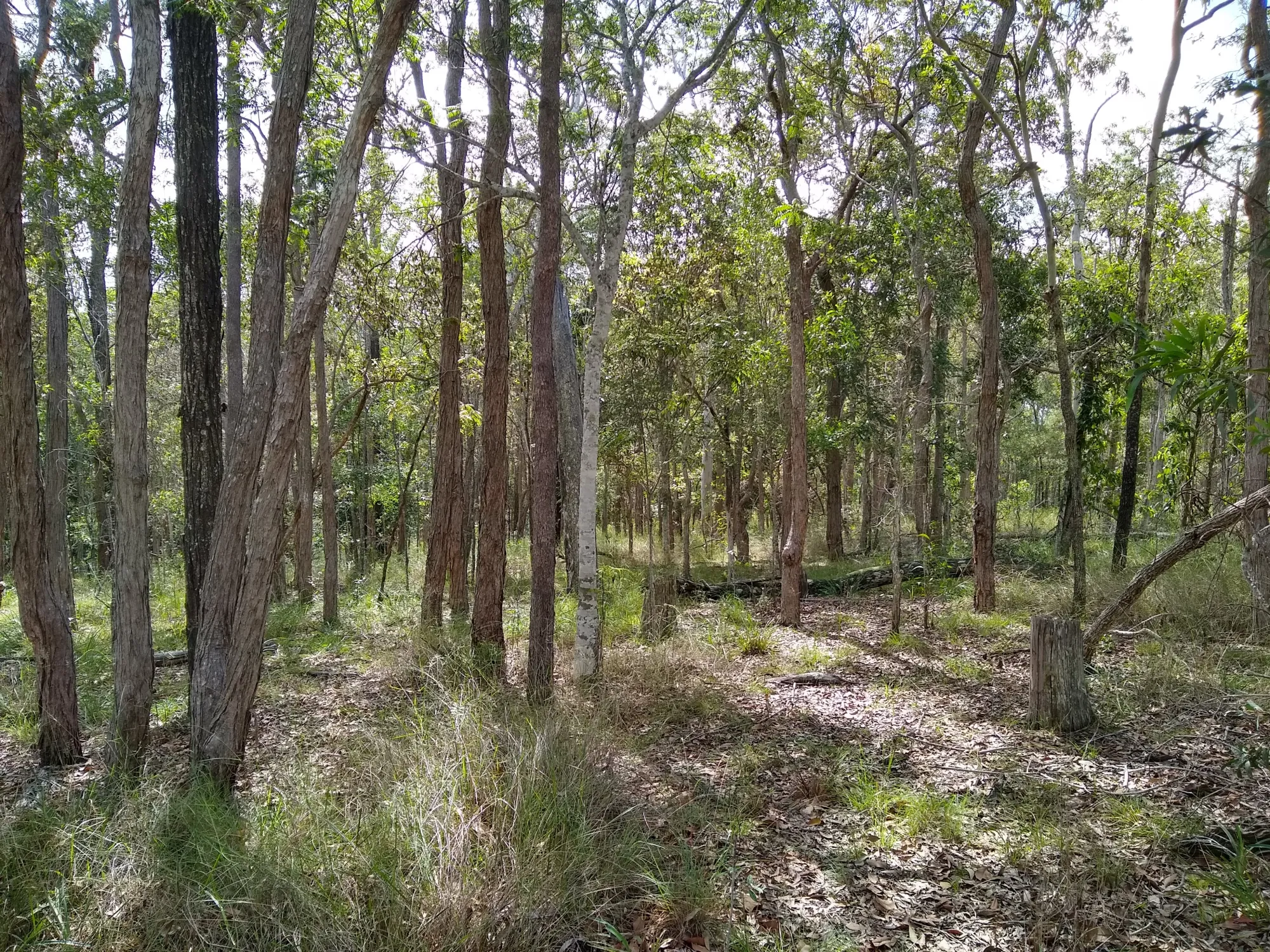 Carbon__Dating (Art + Grasslands Care & Culture)