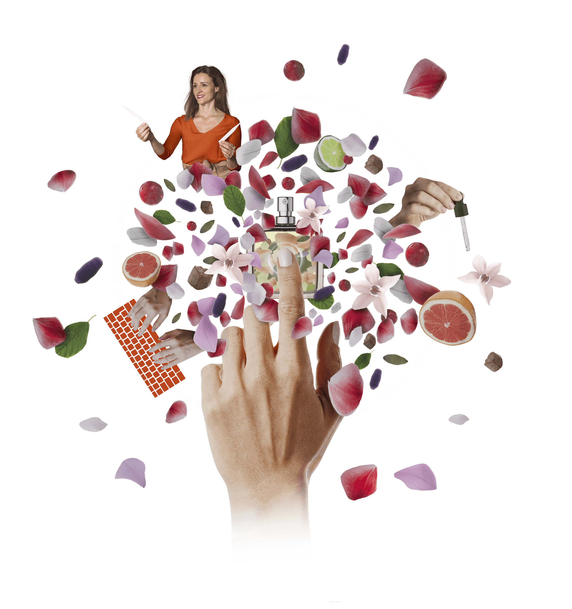 Winning Fragrances for Your Products | Scentmate