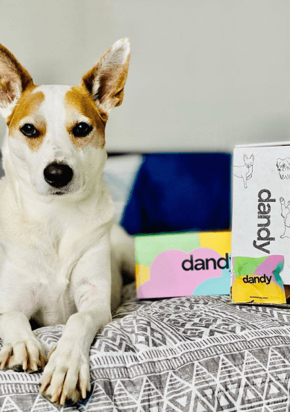 D2C Design - Unlimited Design & Dev for Unlimited D2C Growth