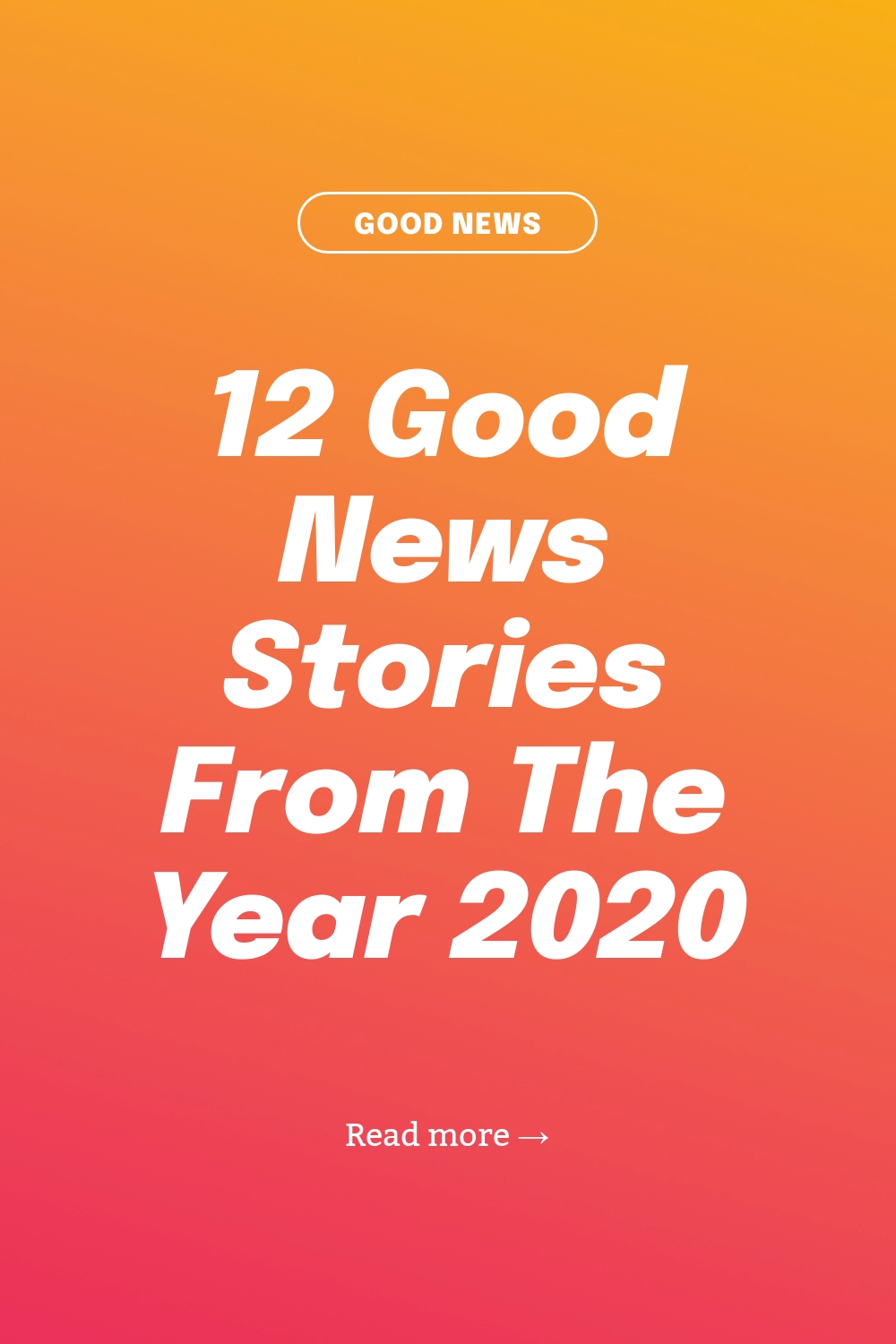 12 Good News Stories From The Year 2020