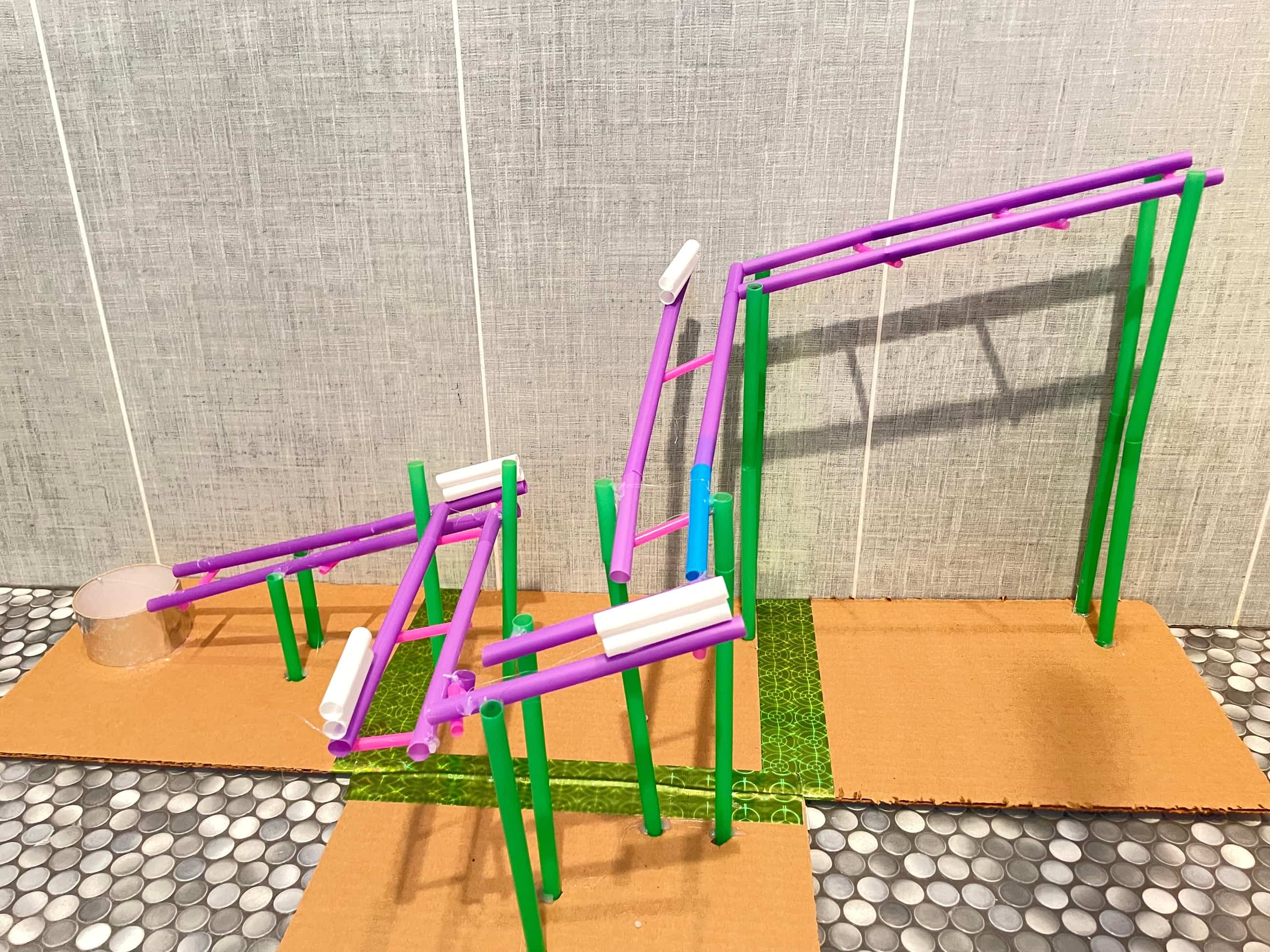 Project-Roller Coaster