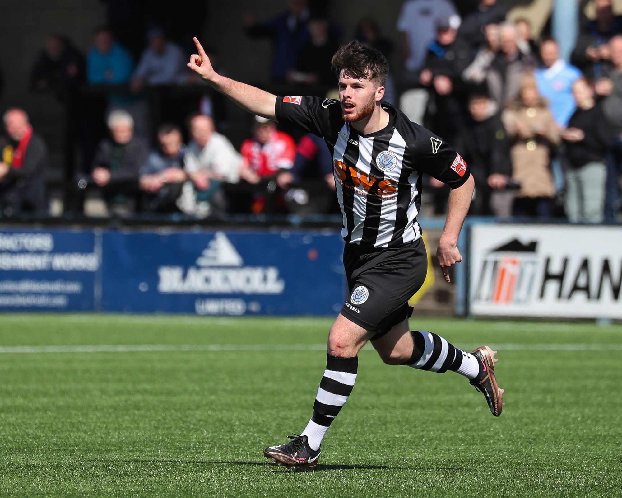 Welcome back Alex Moyse