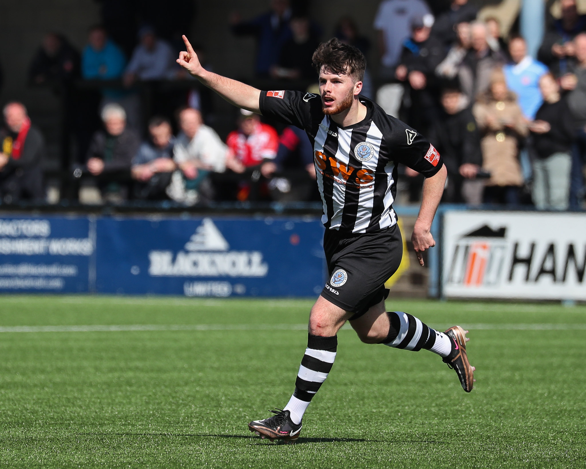 Welcome back Alex Moyse