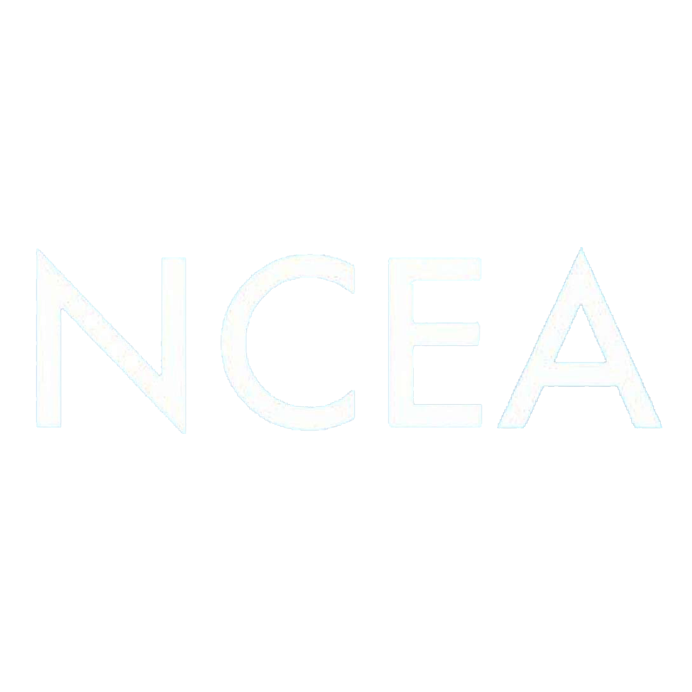 Online NCEA Level 3 Physics Tutoring | James Peng Tutoring