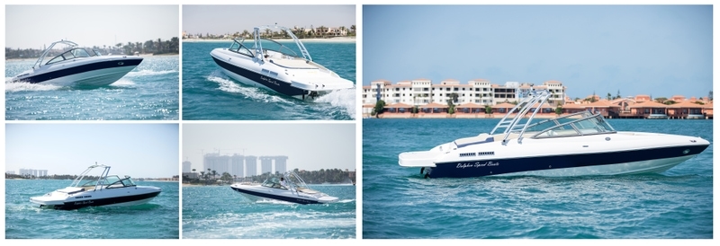 Dolphin Speed Boats