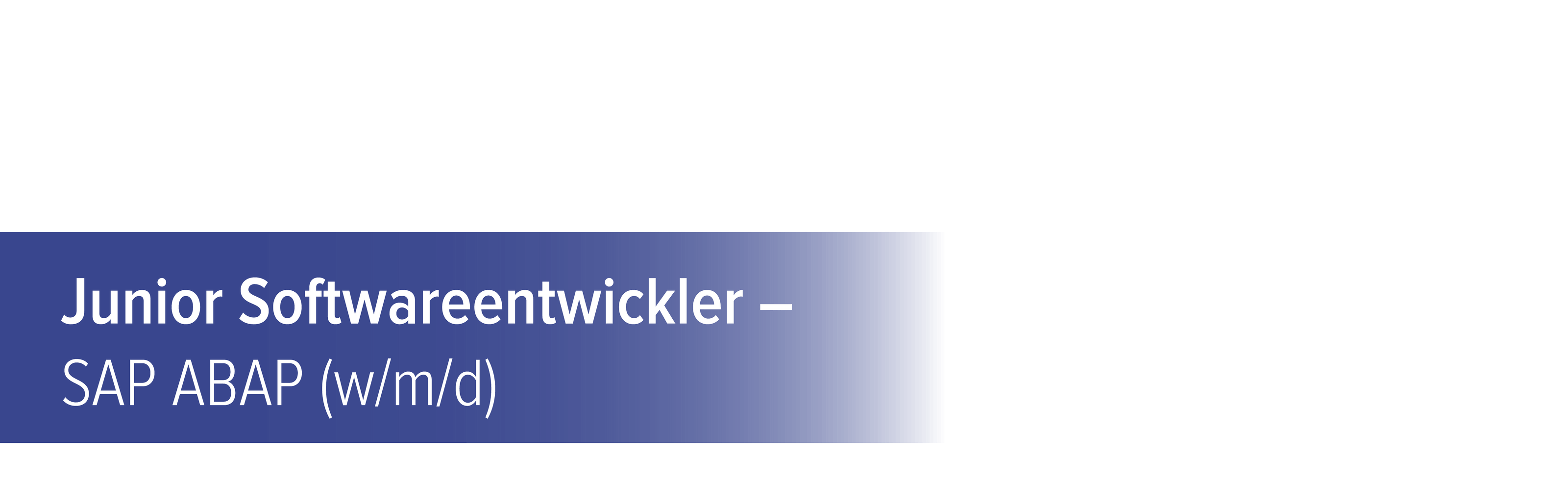 SAP Fachinformatiker Anwendungsentwickler