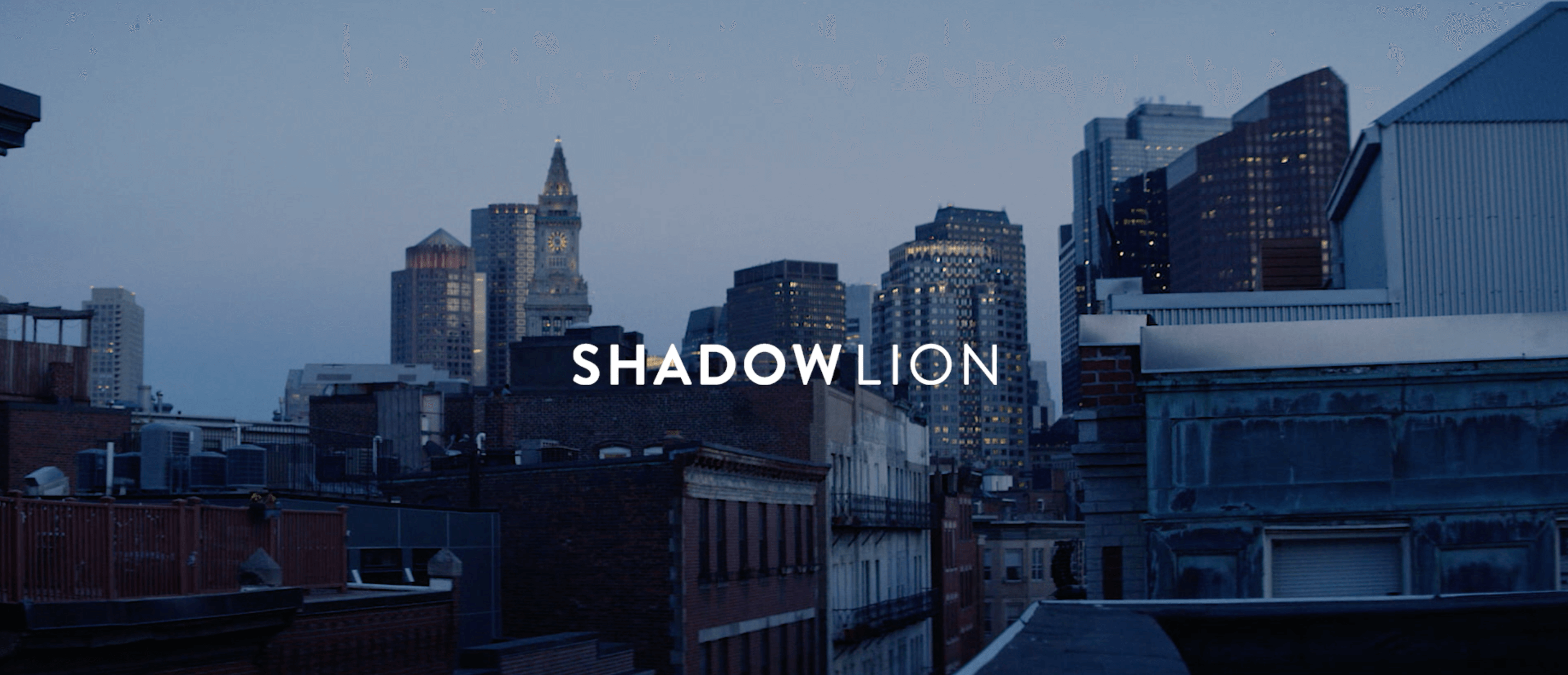 Shadow Lion - Creative Agency