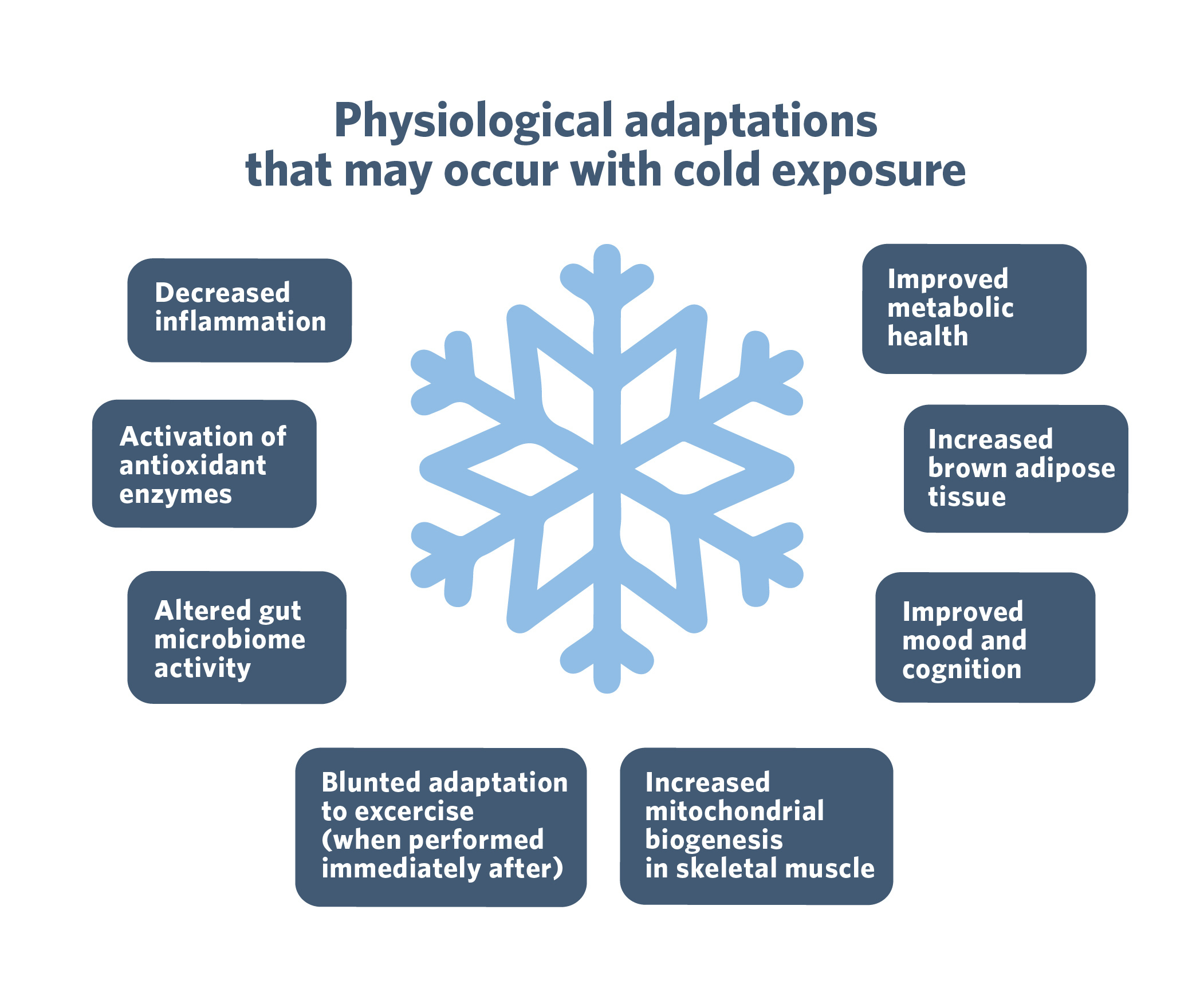 Cold Exposure - Should you be doing it? | The Wellness Hub