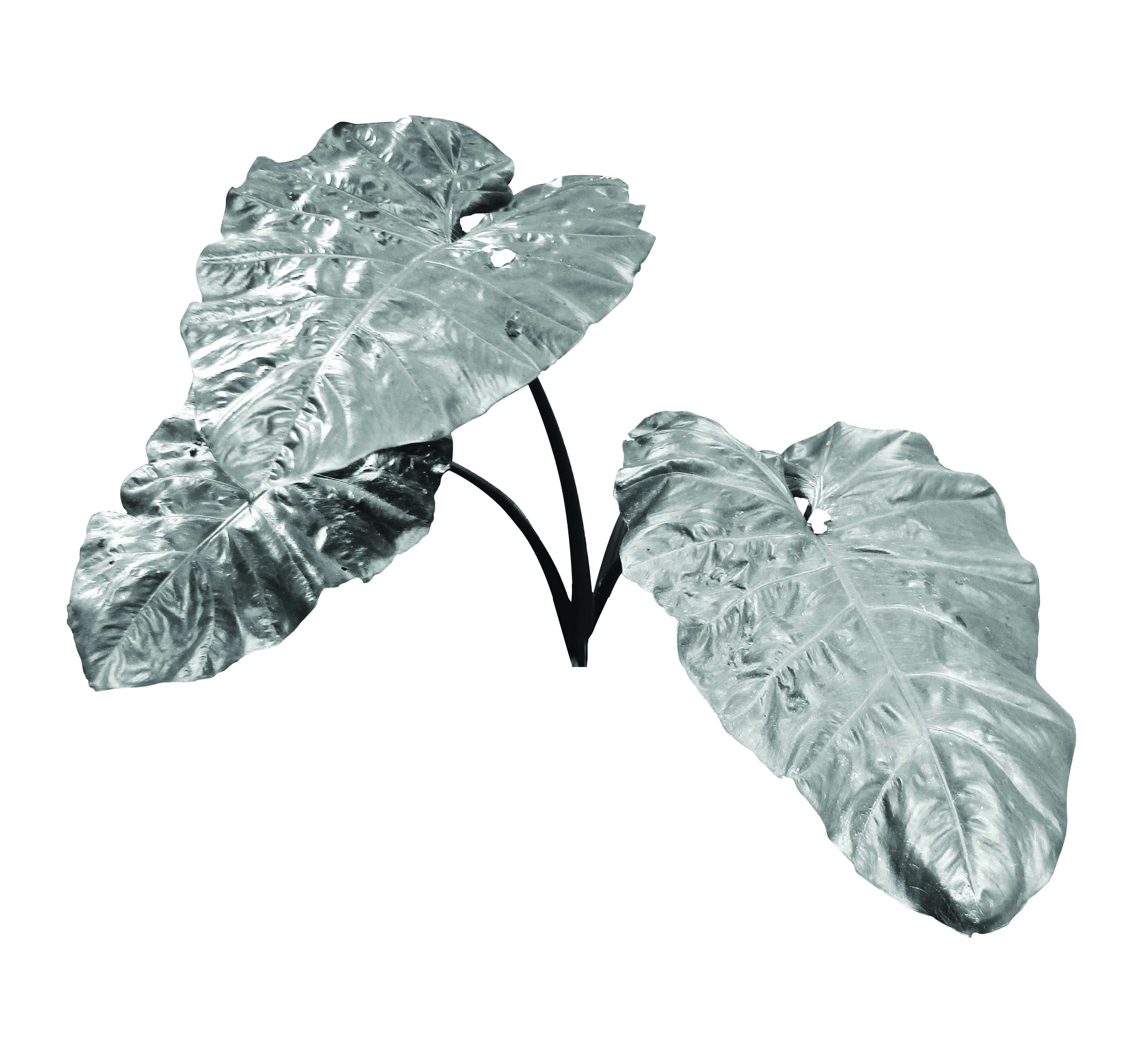 La Palomera | Botánica - Ocumo morado