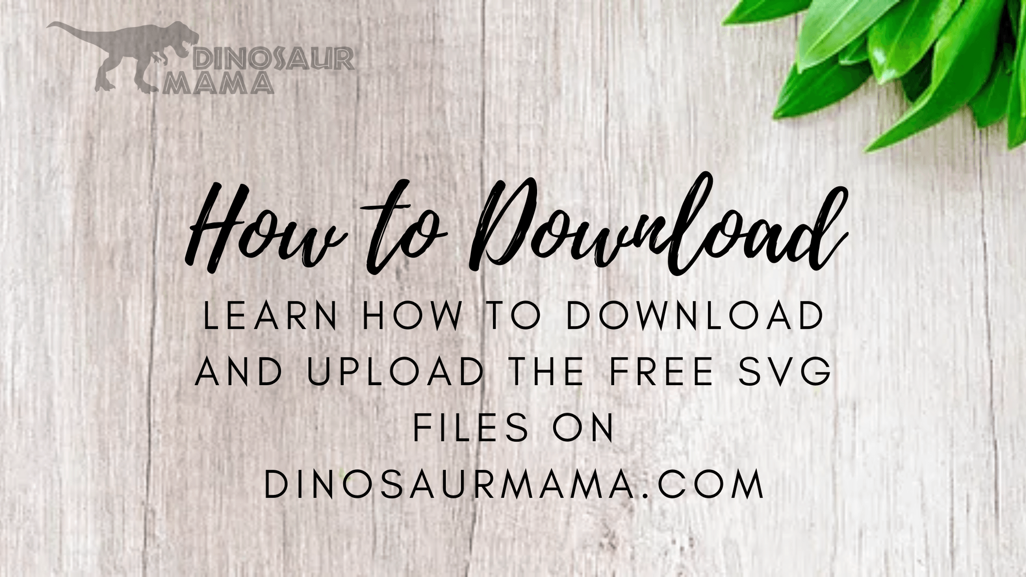 Free SVG Files for Cricut - How to Download Tutorial