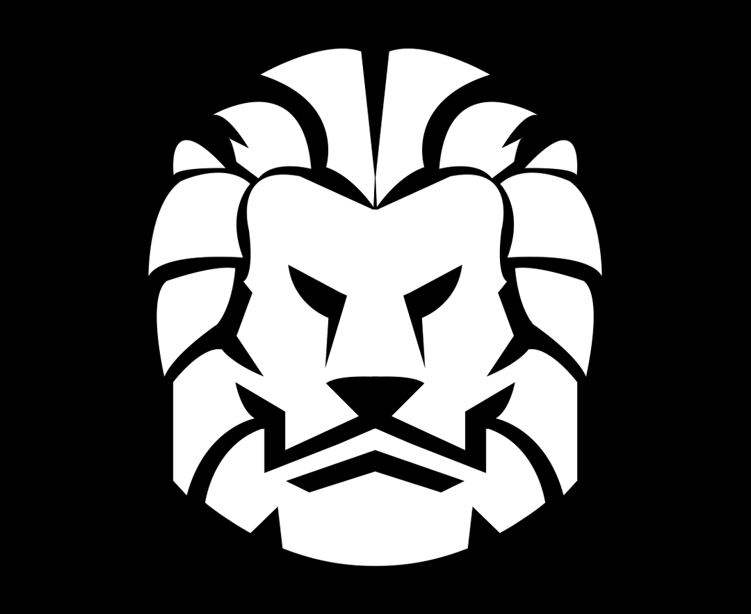 VICI MEDIA - Growing Your Brand Faster & More Profitably.