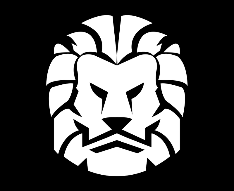 VICI MEDIA - Growing Your Brand Faster & More Profitably.