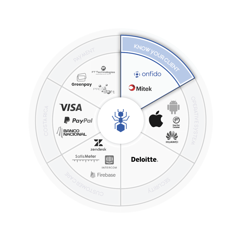 Antit: Nearshoring and Agile Software Development Company | Nearshore ...