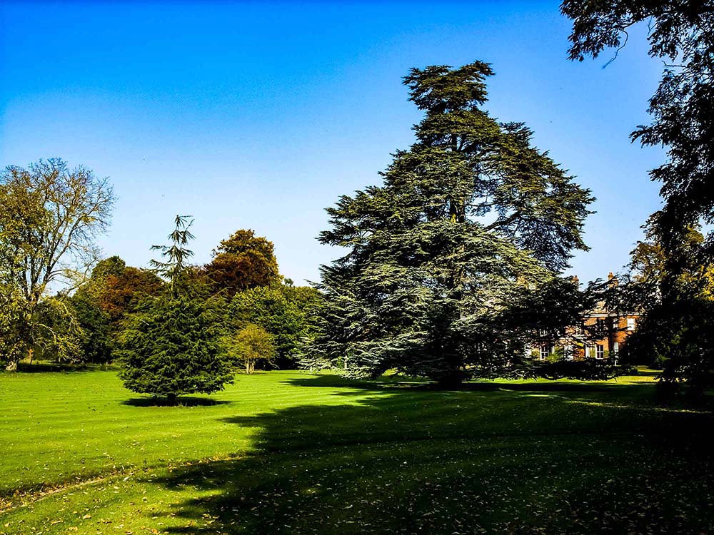 Visit historic 18th Staffordshire Gardens | Betley Court