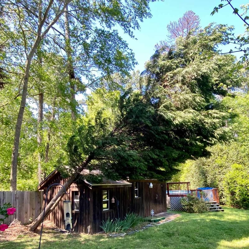 Hub City Tree Company – Spartanburg Tree Service