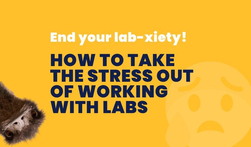 Waiting for assay results is stressful. Here's how to end lab-xiety