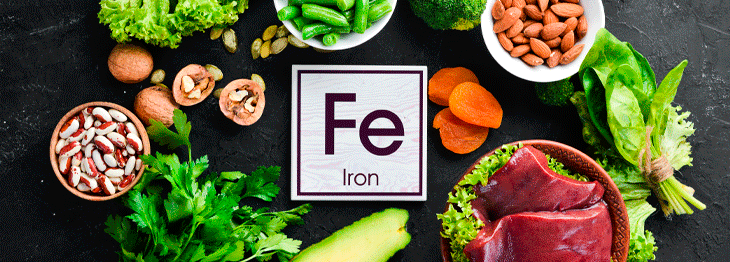 Entenda como se dá o metabolismo do ferro