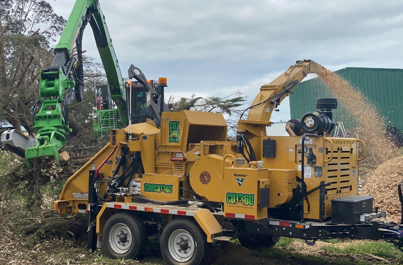 Tree Removal Experts