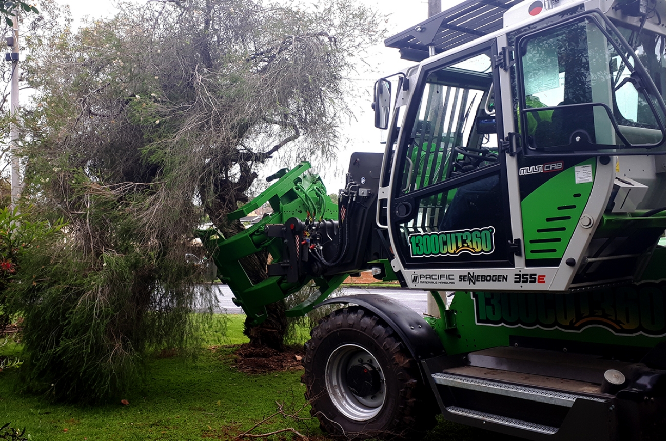 Tree Removal Experts