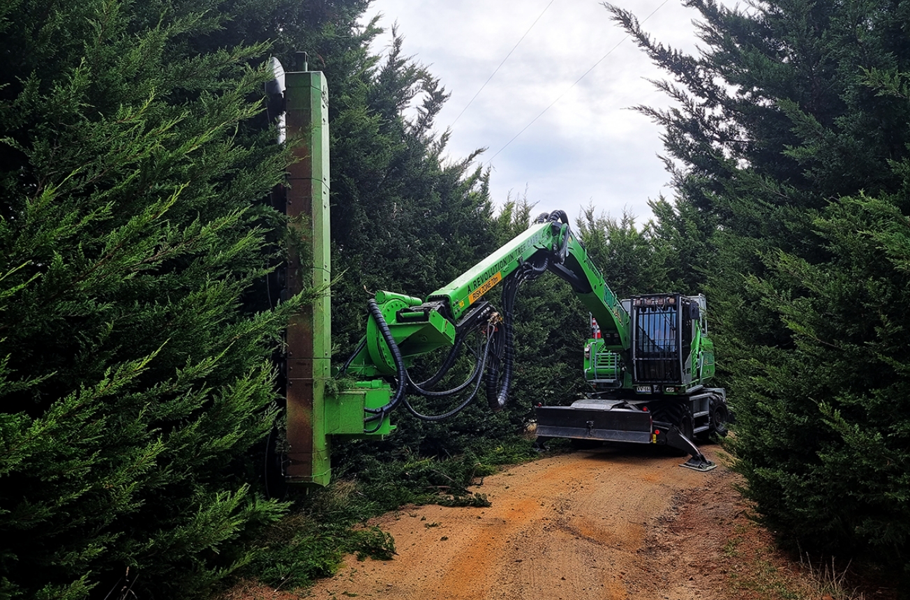 Tree Removal Experts