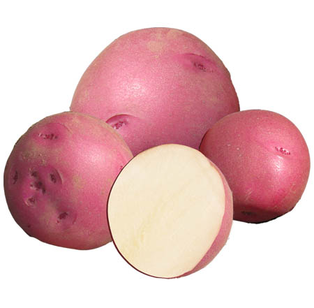 Red Potato Varieties | Sunrain Potatoes