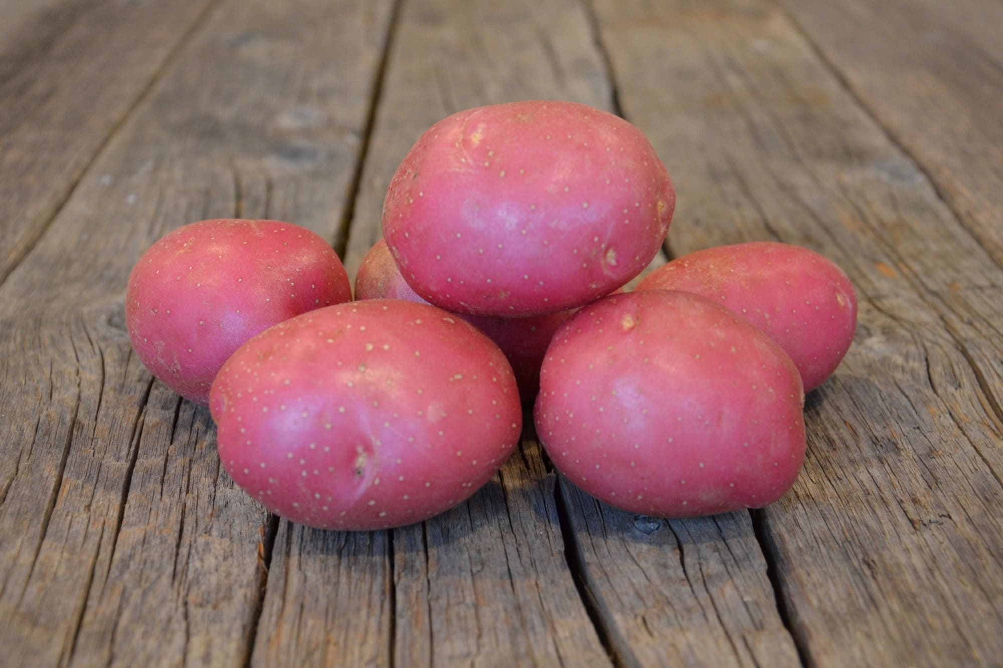 Red Potato Varieties | Sunrain Potatoes