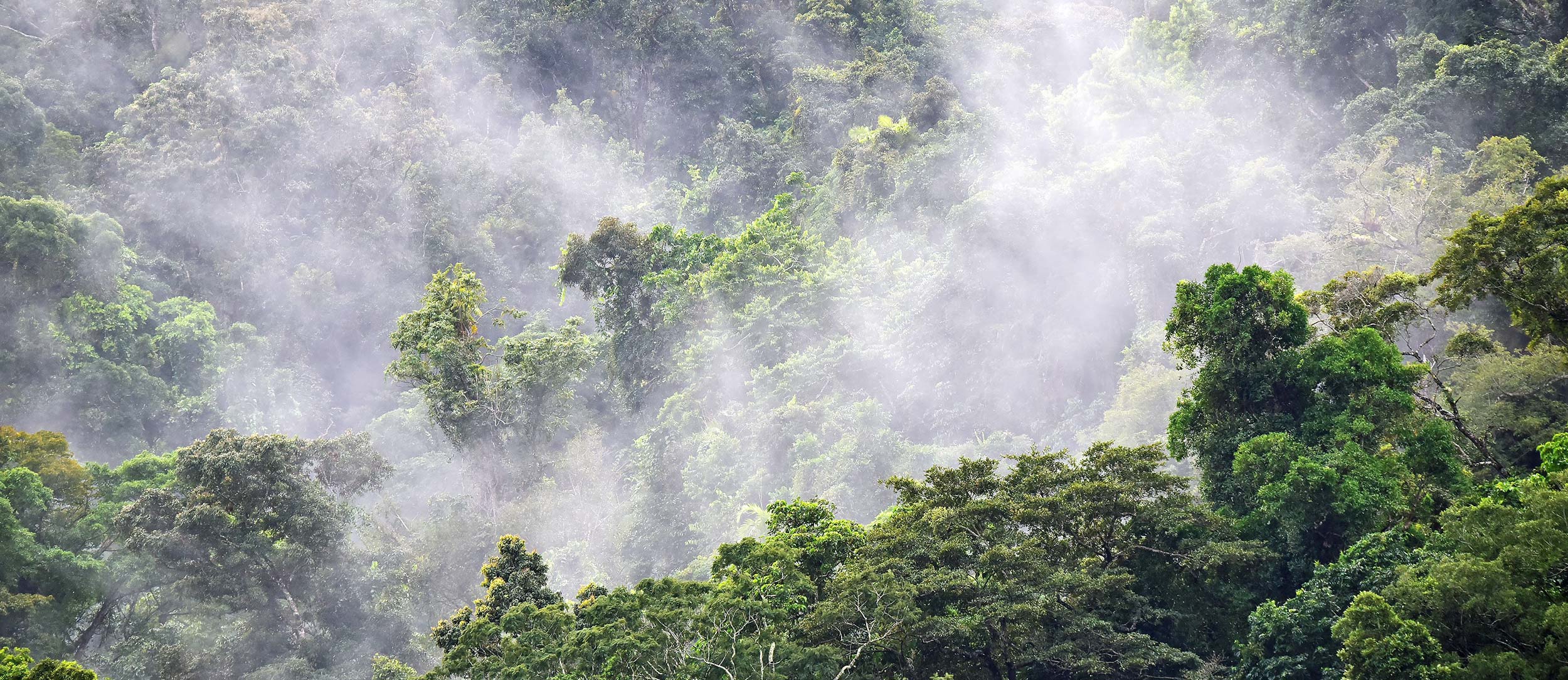 Breathe s Sustainability Action Plan