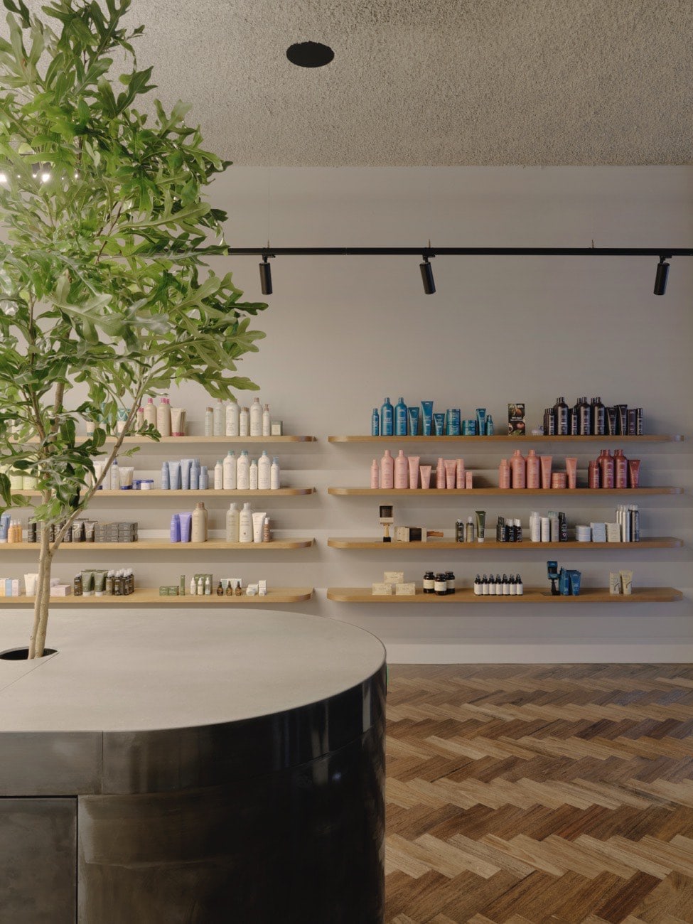 Zucci Salon by Breathe