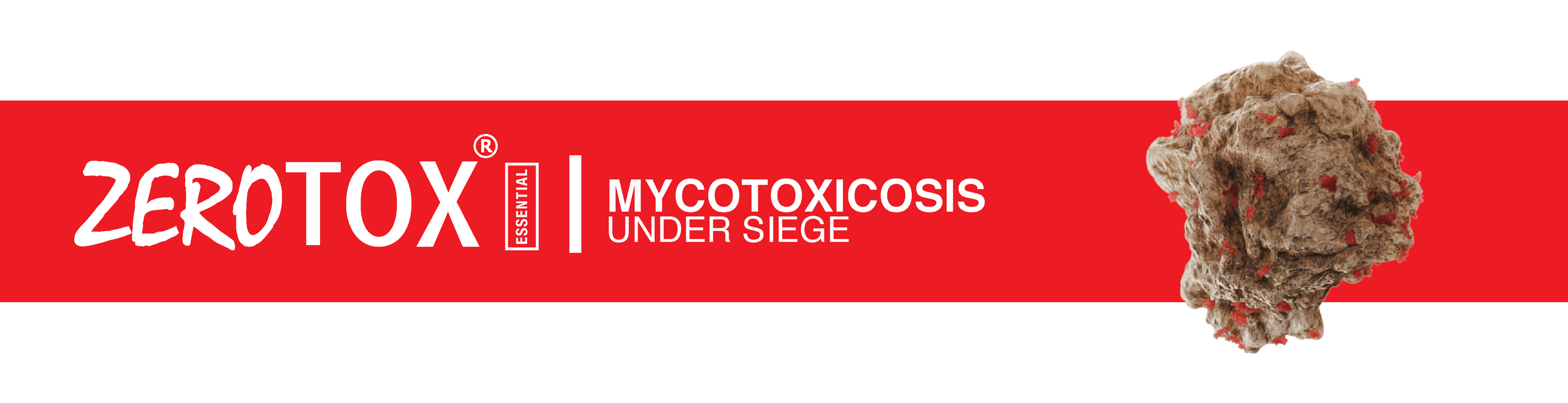 Biofeed Technology - Health & Nutrition Solutions