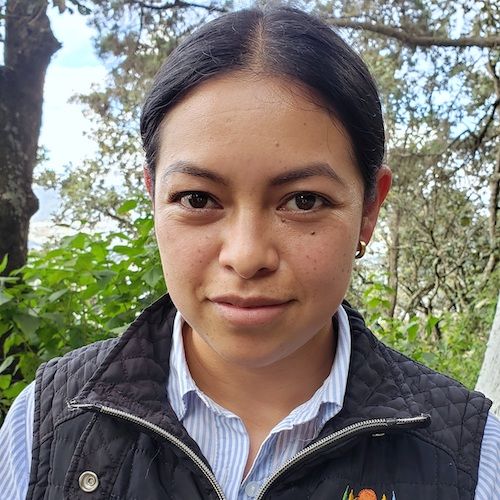 Poder y Luz Maya - Desarrollo Sostenible en Guatemala