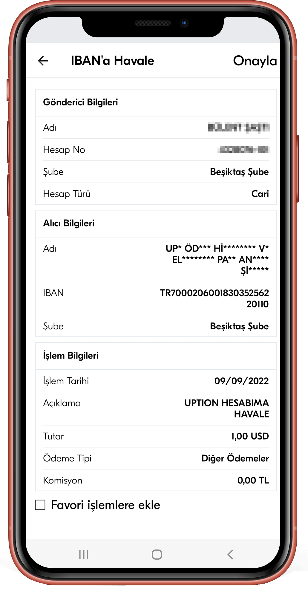Türkiye Finans'tan UPTION Hesabına USD / EUR Gönderme