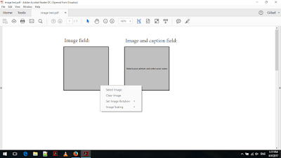 Acrobat -- Apply Image Fields Toolkit | Try67 | Custom PDF tools