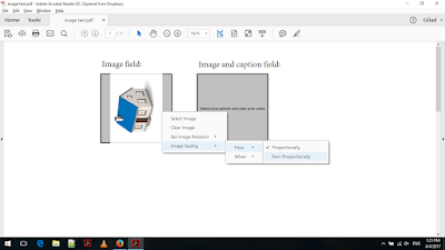 Acrobat -- Apply Image Fields Toolkit | Try67 | Custom PDF tools
