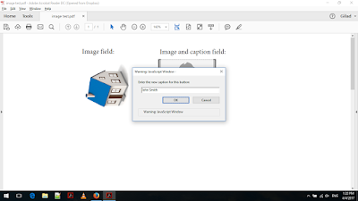 Acrobat -- Apply Image Fields Toolkit | Try67 | Custom PDF tools