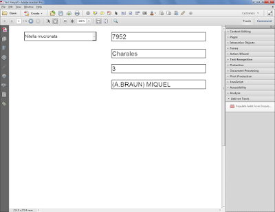 Acrobat — Populate fields from dropdown | Try67 | Custom PDF tools