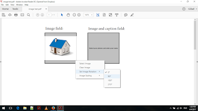 Acrobat -- Apply Image Fields Toolkit | Try67 | Custom PDF tools