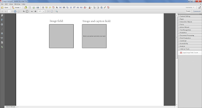 Acrobat -- Apply Image Fields Toolkit | Try67 | Custom PDF tools