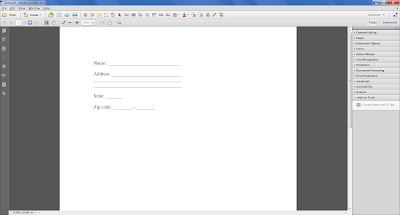 Acrobat/Reader -- Convert Underscores to Text Fields | Try67 | Custom PDF tools