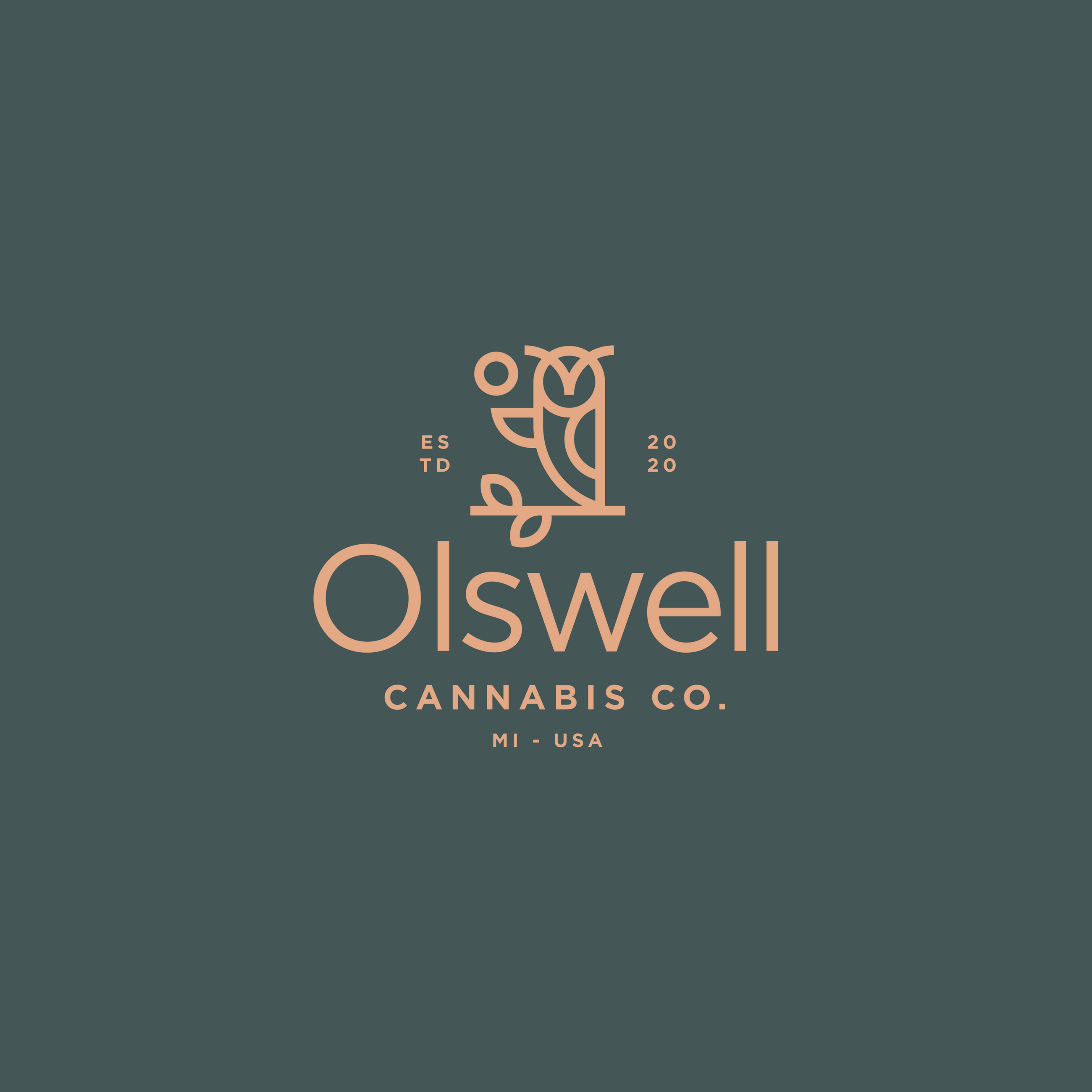 Olswell Cannabis Co. of Michigan | Branch Out. Be Well.