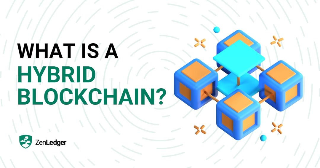 Everything You Need to Know About Hybrid Blockchains | ZenLedger