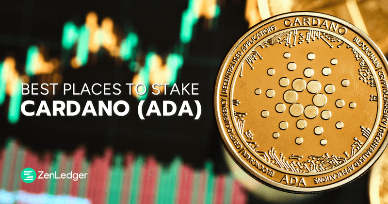 7 Best Places to Stake Cardano: A Comprehensive Guide | ZenLedger
