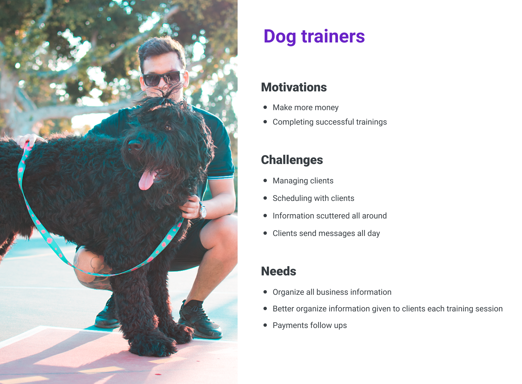 Is There Money In Dog Training