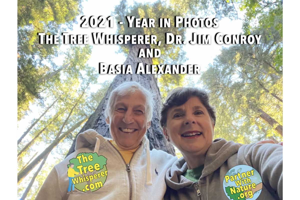 The Tree Whisperer® - Video: 2021 Year in Photos Slide Show