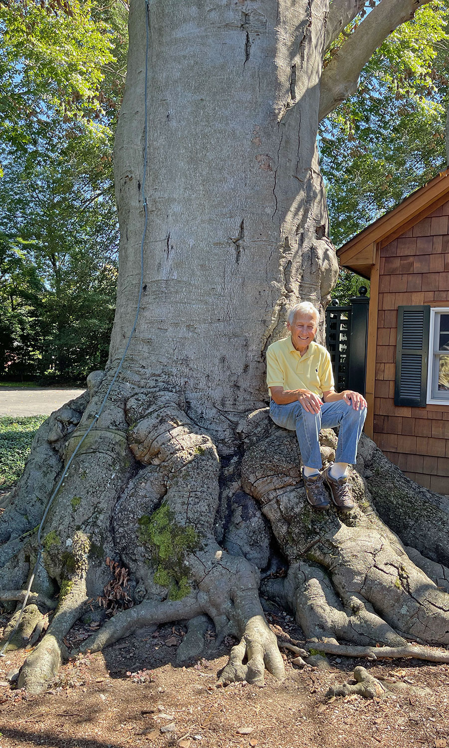 The Tree Whisperer® - About