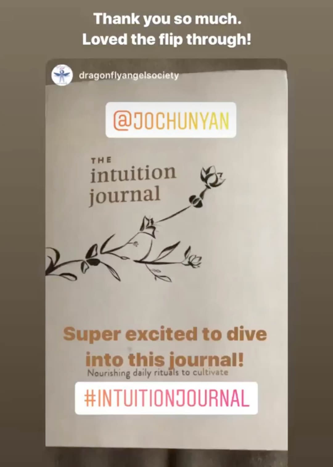 Guided journaling prompts with The Intuition Journal | Jo ChunYan