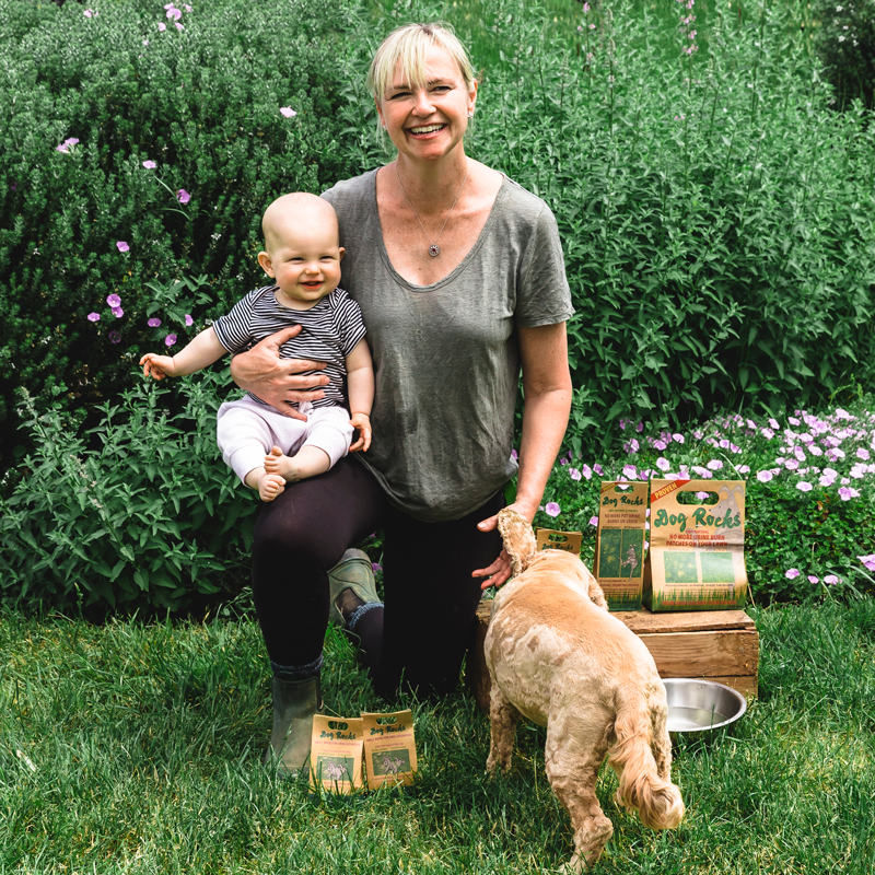 What Type Of Rock Is Dog Rocks