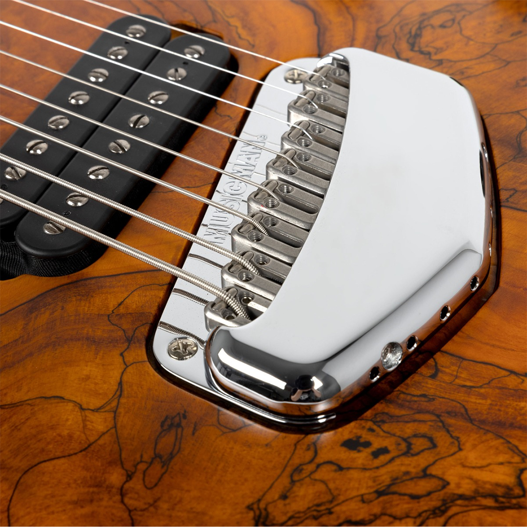 RD news | St. Vincent, Majesty Guitars, and StingRay 5 Basses Available Now