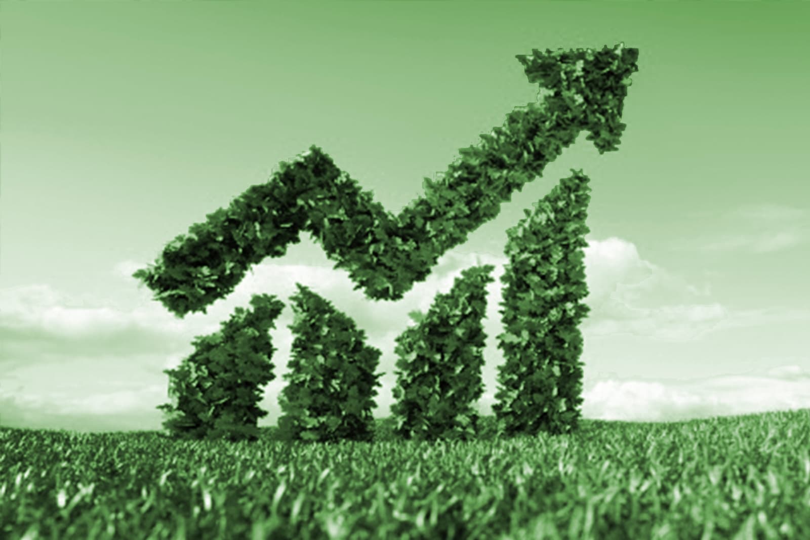 Li Industries | A New Age of Battery Recycling