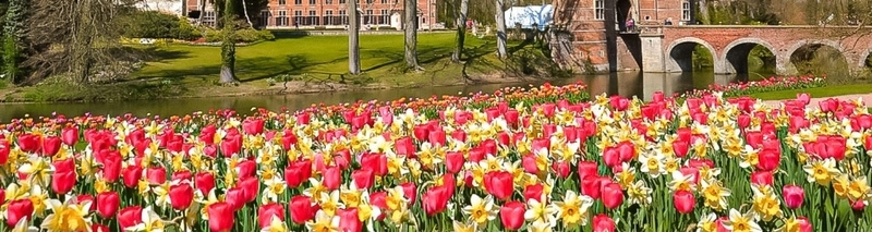 Fantastic flower gardens to see this spring in Belgium