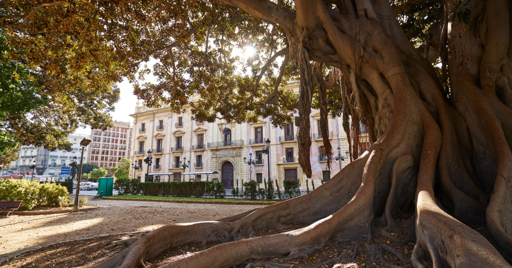 Valencia's Green Spaces: Unwinding in the City's Beautiful Parks